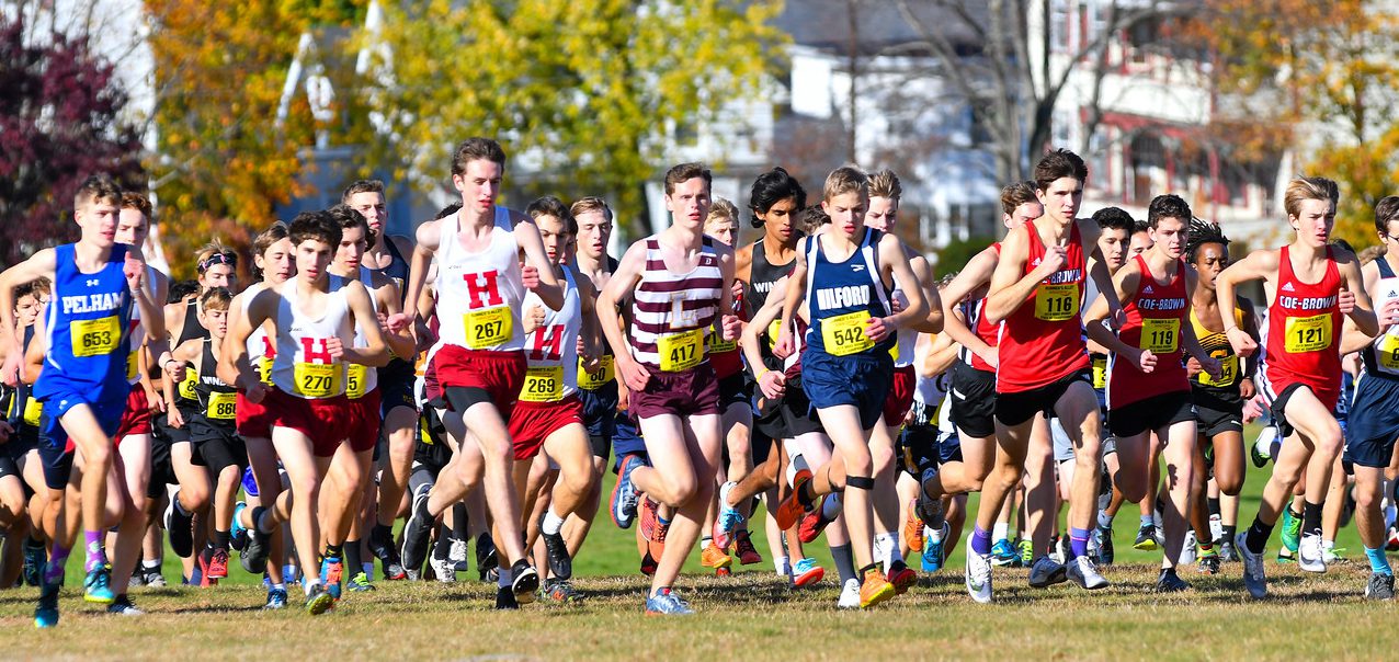 2020 Rankings Reveal #5! DIVISIONS STATE CHAMP PREVIEW!!!