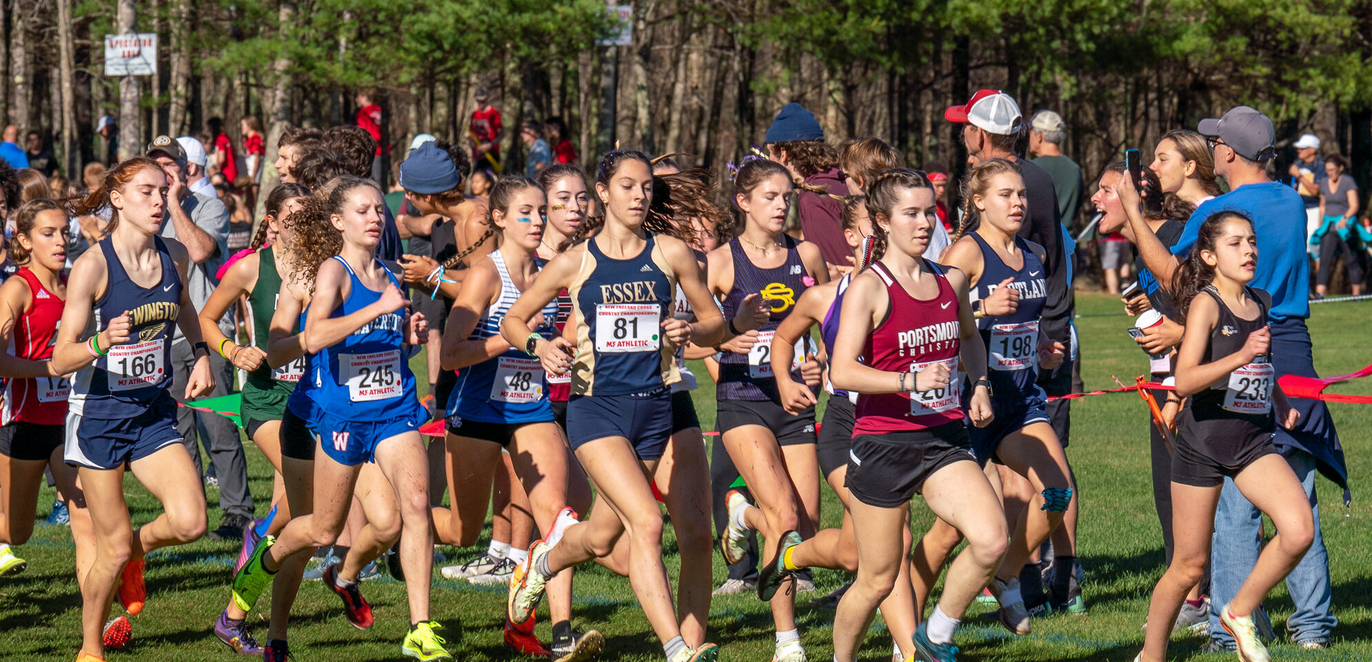 Meet Hub: New Englands