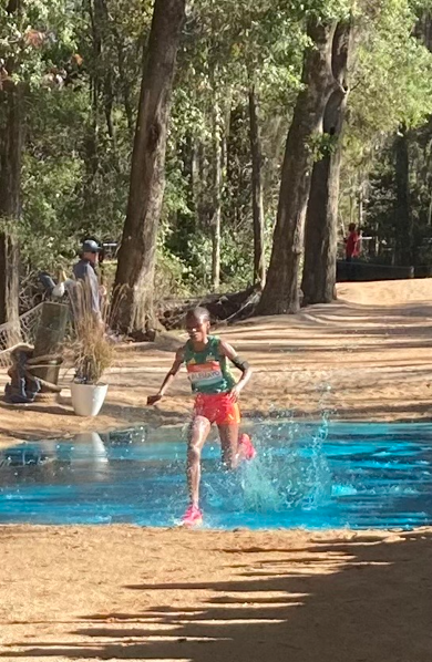 Short Strides and Odd Thoughts: Celebrating Cross Country